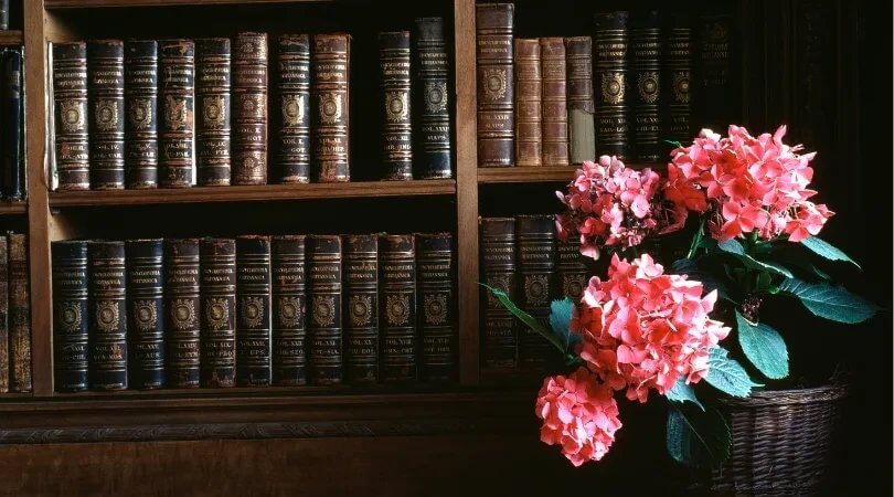 15 Classic British Authors to Read | Oxford Summer Courses
