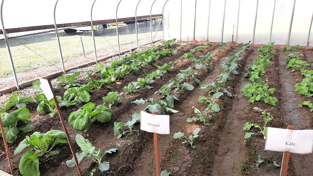 Directory | Southern Ag Center