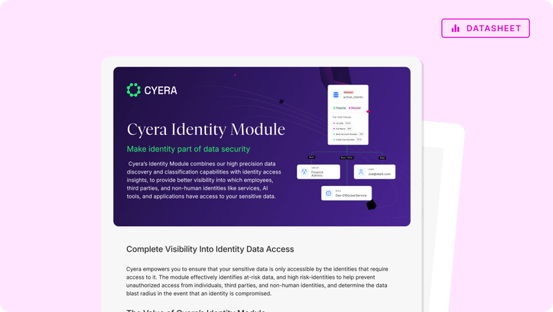Cyera Identity Module | Cyera Datasheets