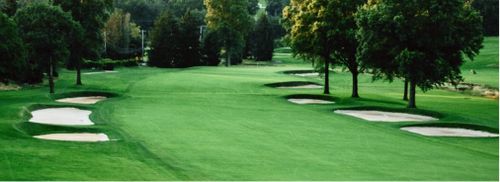 Statistics | App | Golf GameBook