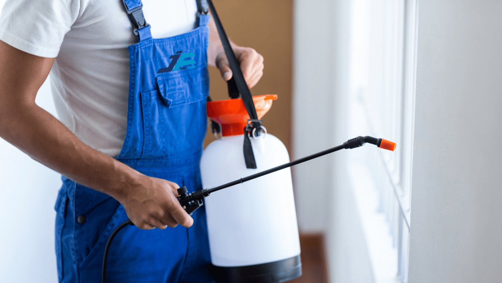 Pest Control | Just Focus Cleaning
