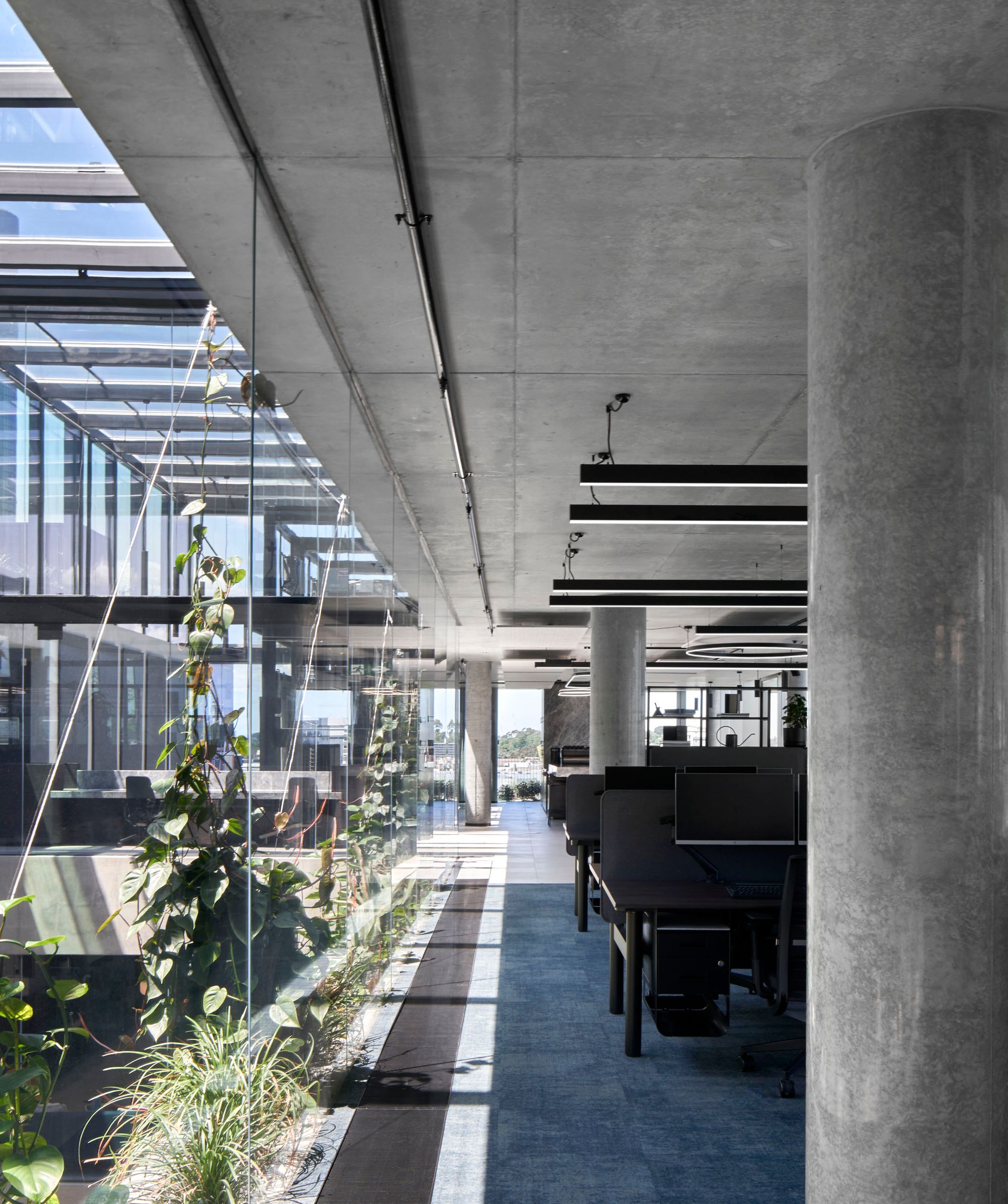 Home - Fraser & Partners