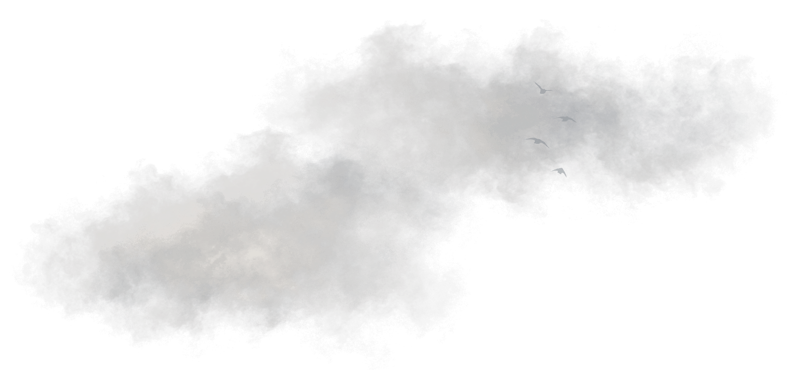 Nesiah Travel | One location for every destination