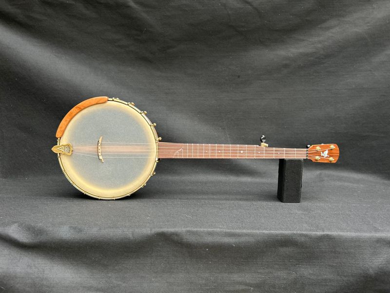 How to tune a five string banjo