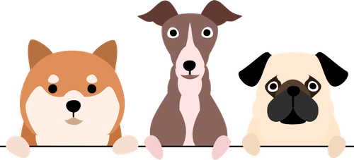 Western Veterinary Conference 2025 - NectarVet