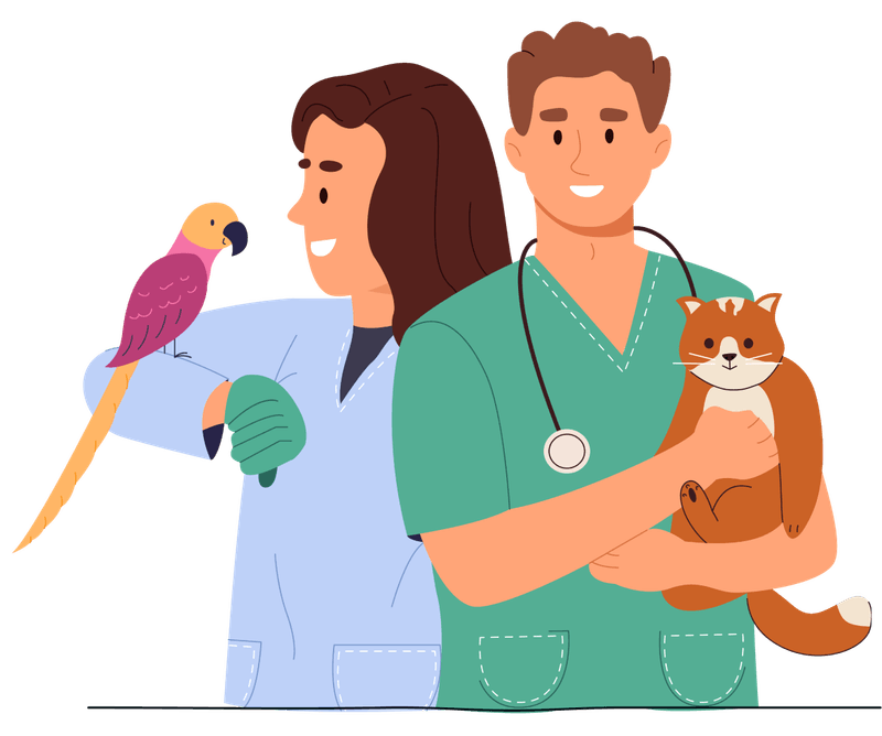 Shepherd Vet Software: Comprehensive Pricing, Use Cases, and Customer ...