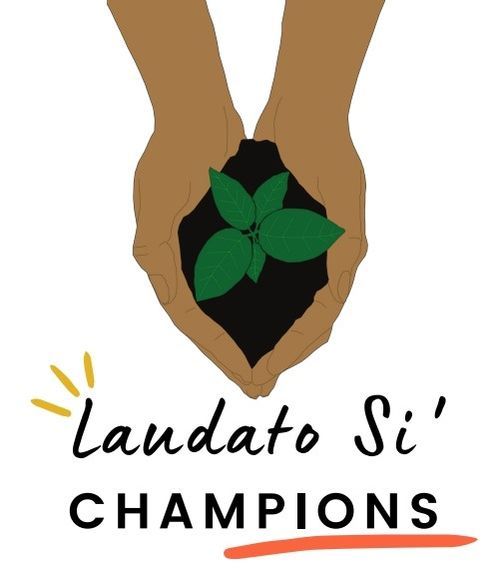 Free resources for schools on Laudato Si'