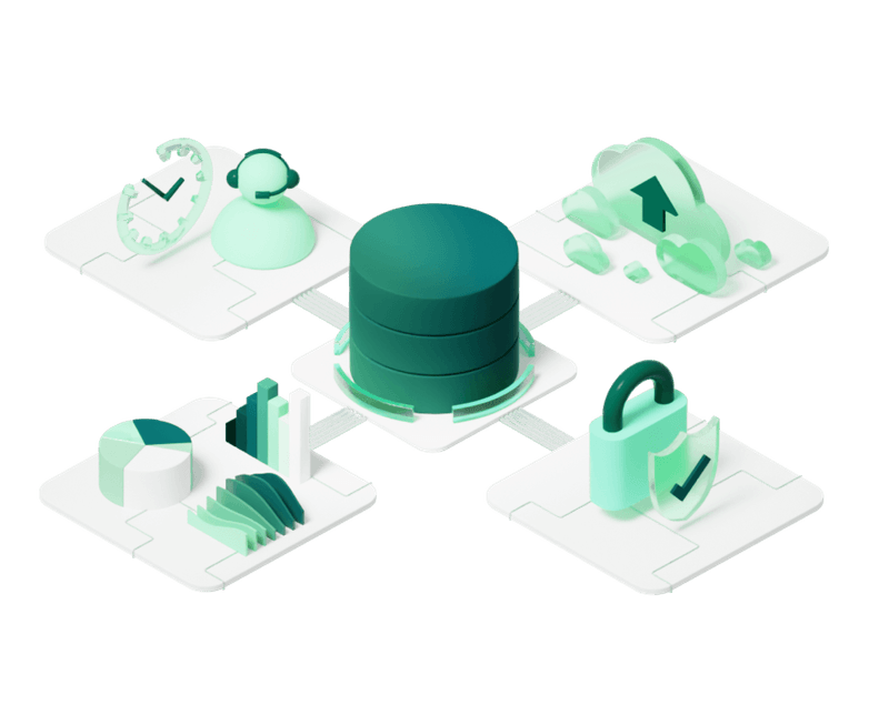 Expert Database Management Solutions