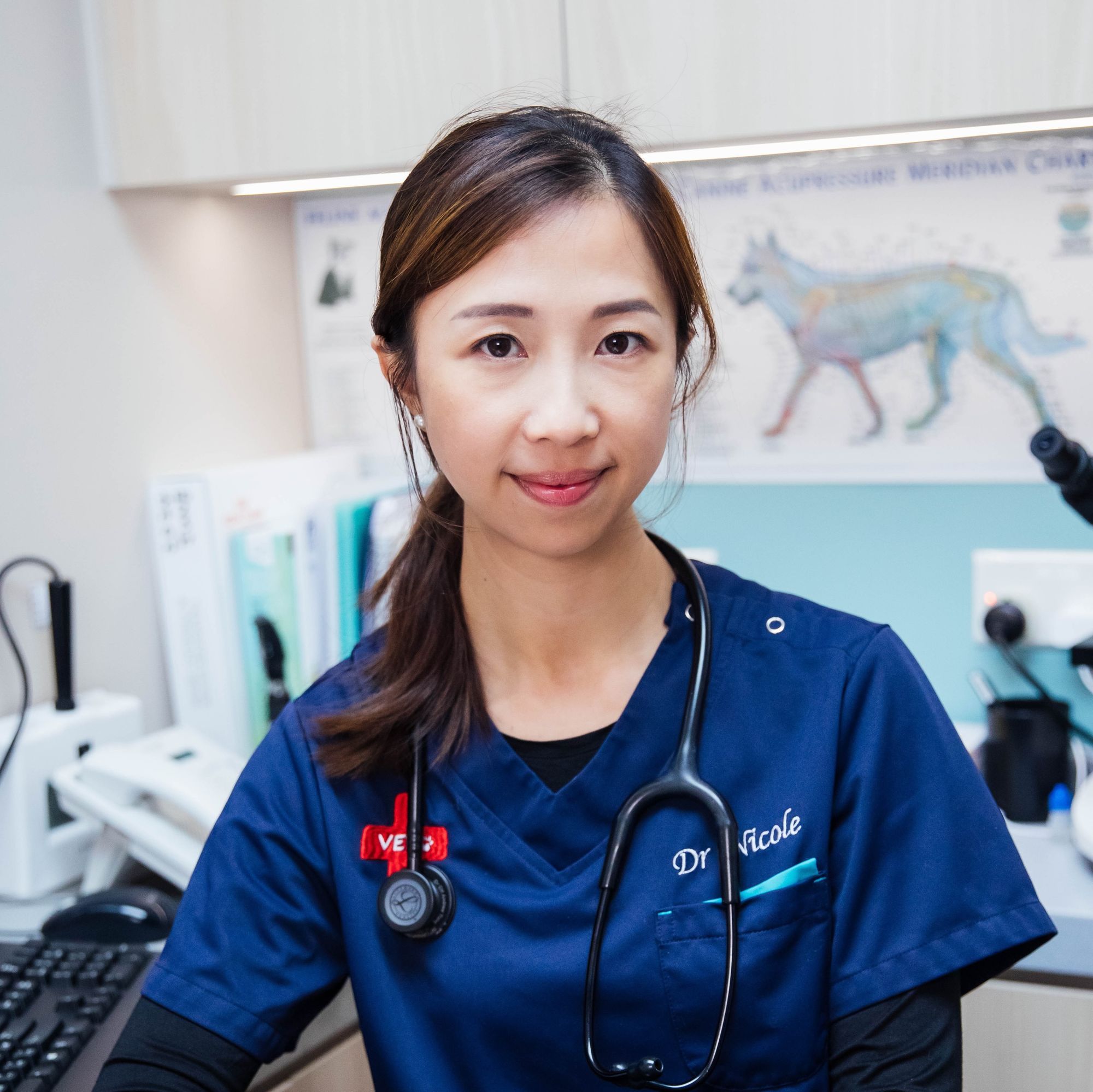 Veterinary Emergency Centre | Hong Kong Vet Clinic | VEC