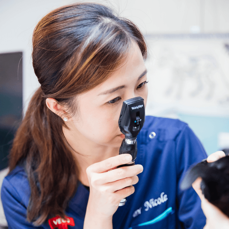 About Us - Veterinary Emergency Centre | Hong Kong Vet Clinic | VEC