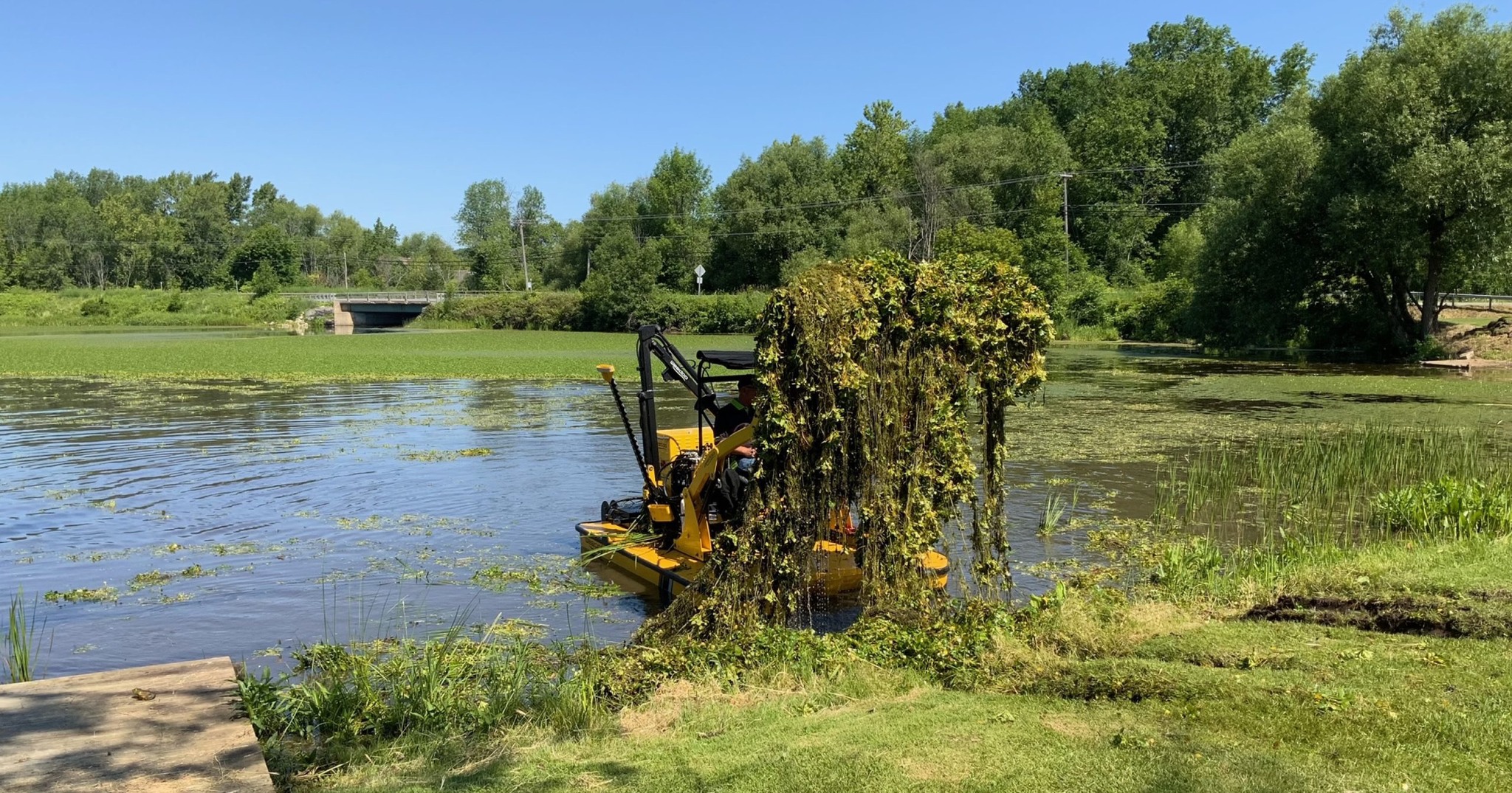 Aquatic Weed Control NY | Expert Lake & Pond Weed Removal in New York