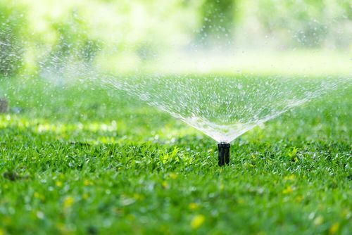 Common Reticulation Problems and How to Fix Them