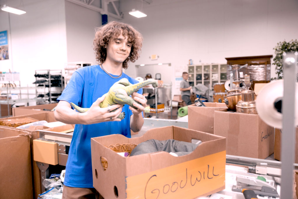 Goodwill