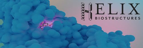 Helix BioStructures - Discover the Co-sourcing Difference