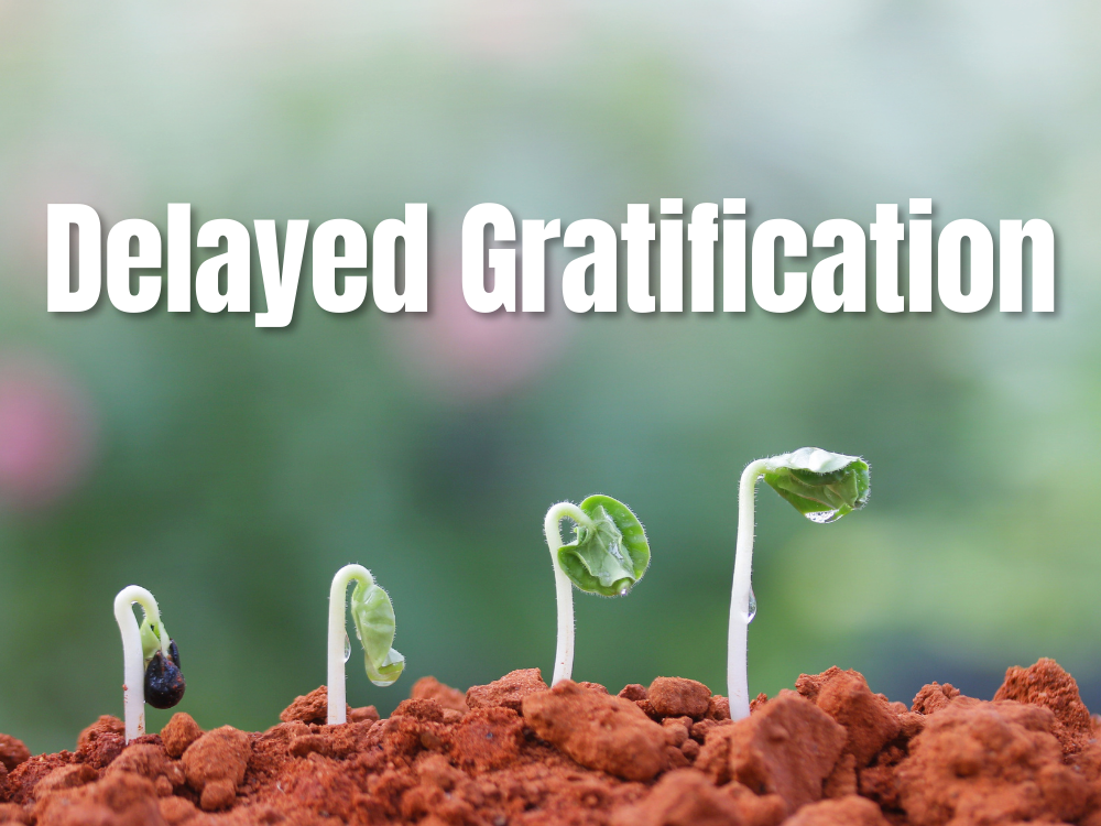Delayed Gratification | Michael Heppell