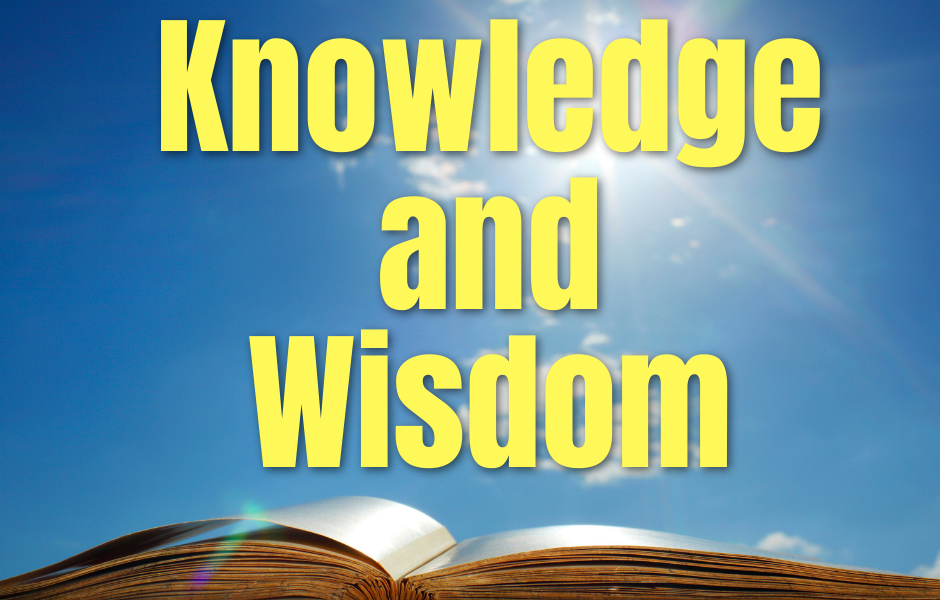 Knowledge and Wisdom | Michael Heppell