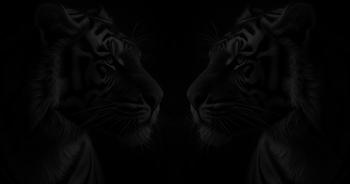 Black Tiger – Guarantee the deliverability of your data projects
