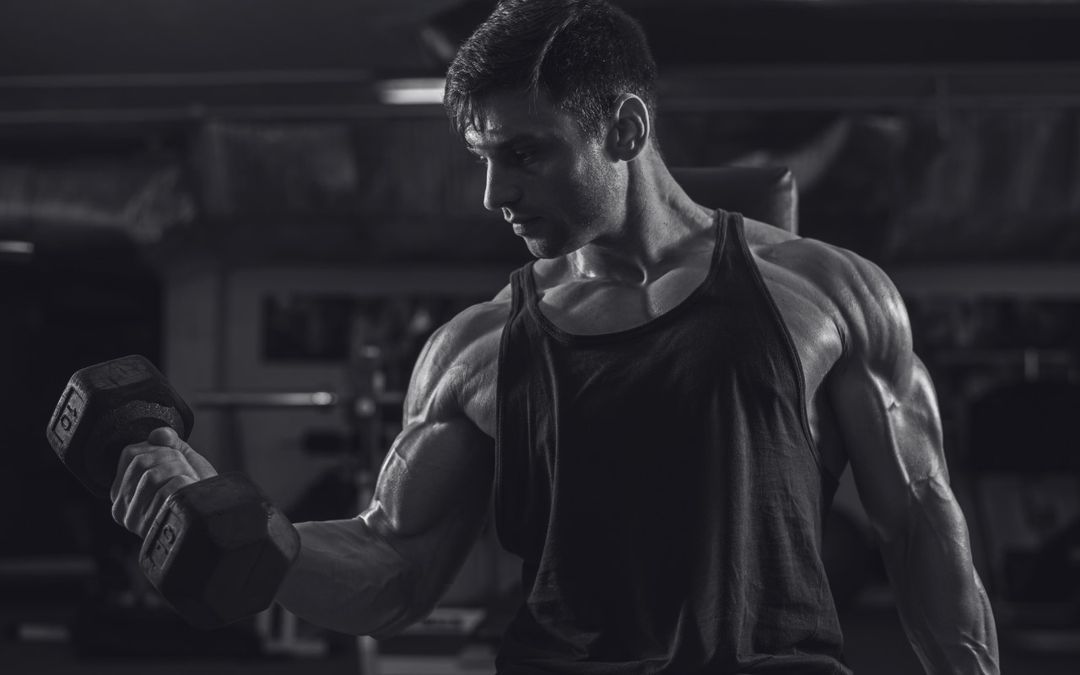The Mega Gym: Your Ultimate Fitness Destination