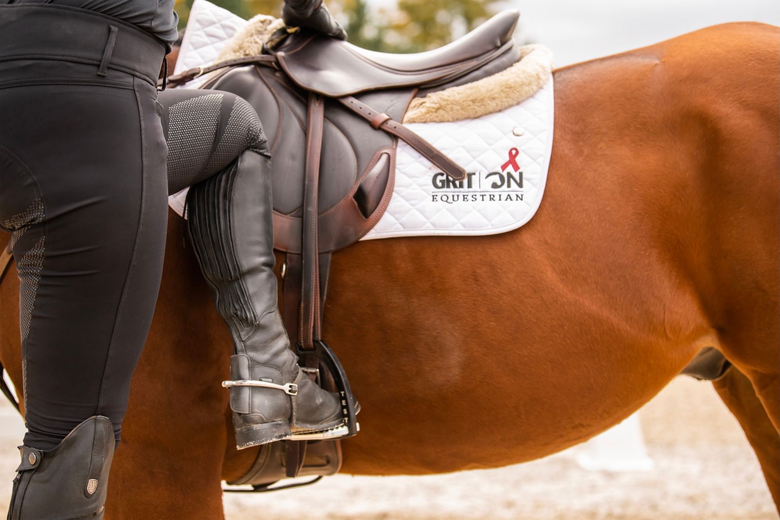 Certification | Equestrian Canada NCCP Coaches & Instructors