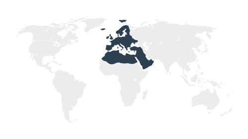 EMEA: ADI