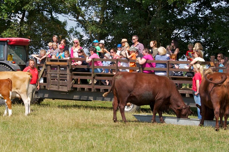 Charity & Community - Fishers Farm Park