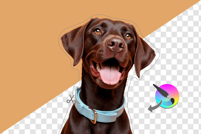 How to Remove Background in Krita (A 2026 guide)