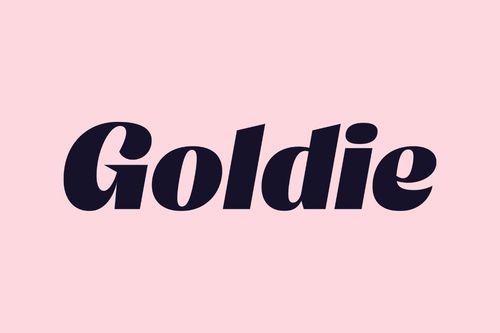 Goldie is Now Available on Laptop and Desktop