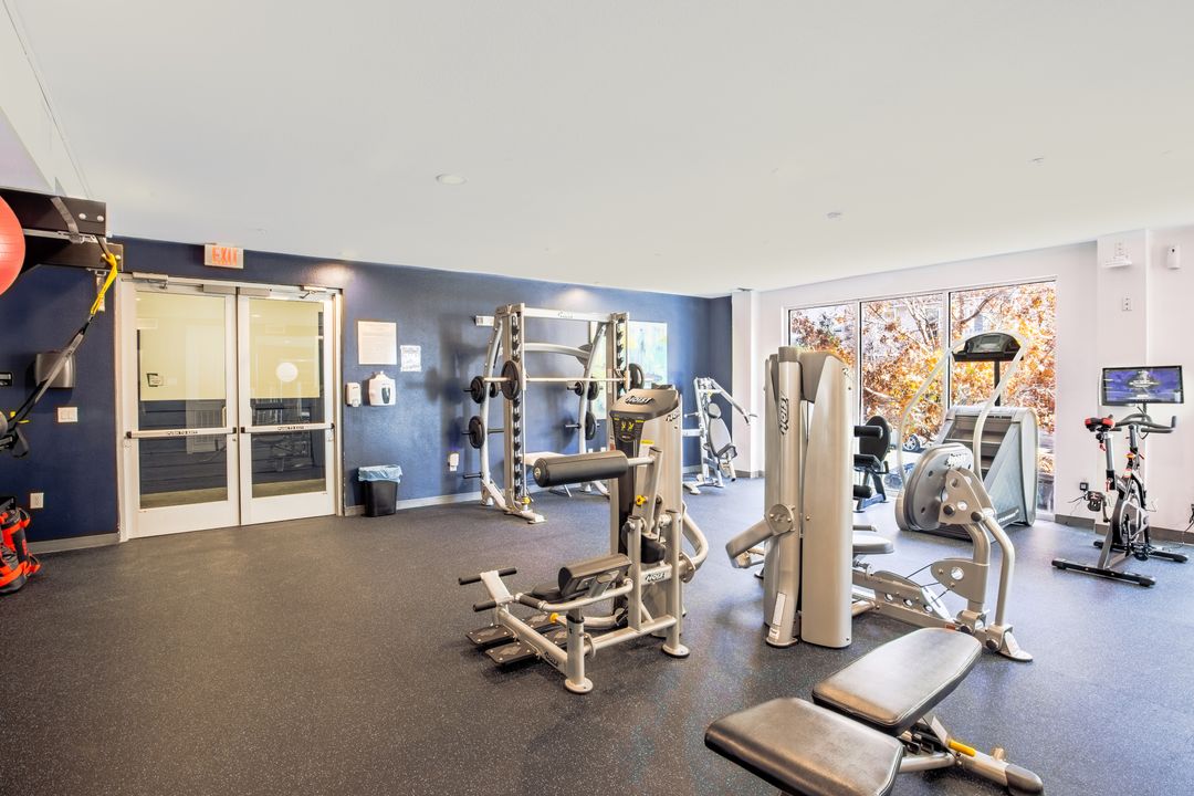 Premier Apartment San Marcos - San Marcos Apartment for Rent | Pointe ...