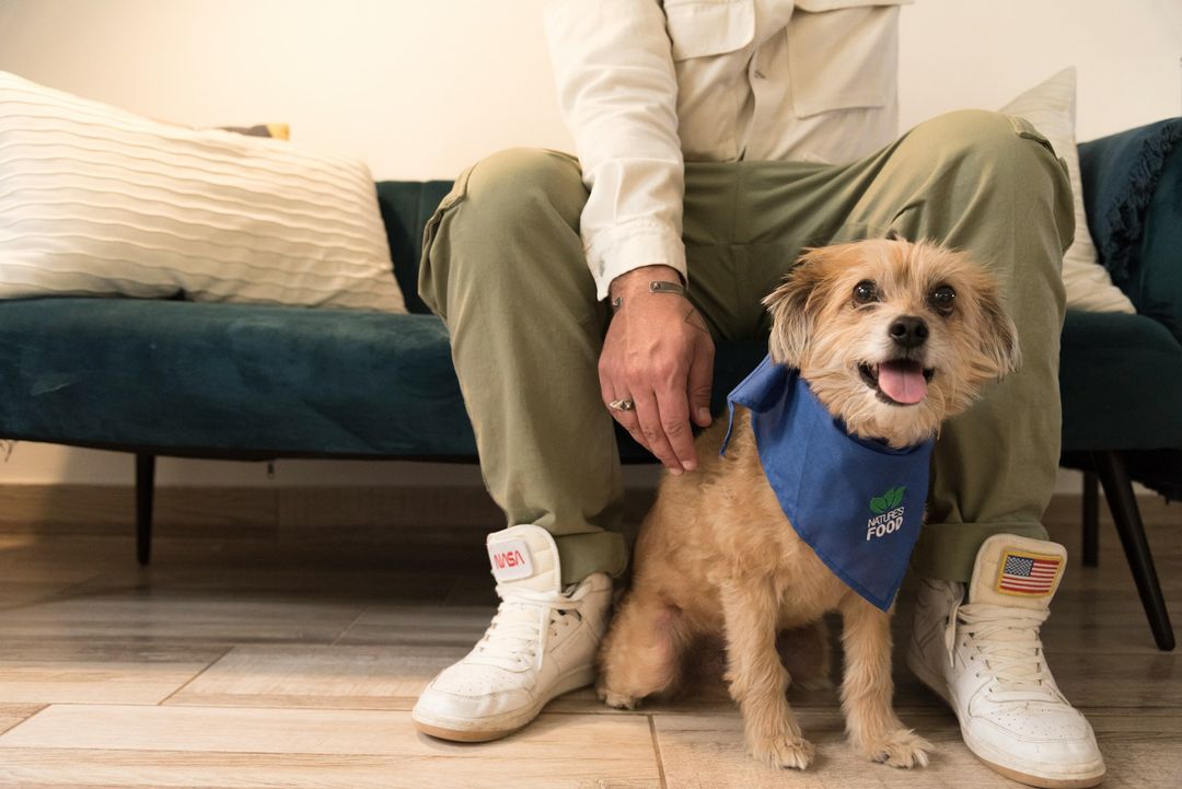 Cornerstone Vet Software: Pricing, Use Cases, and Reviews for 2025 ...