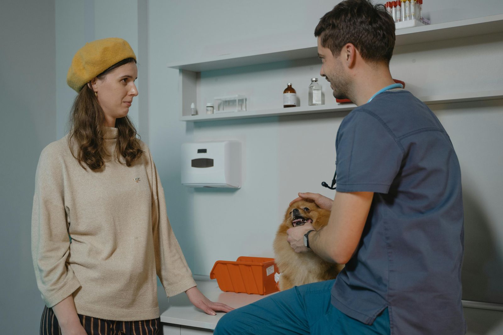 A Guide to Veterinary Client Communication - NectarVet