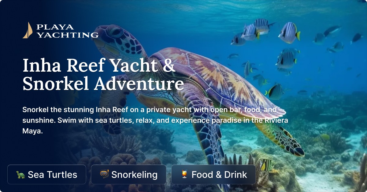 Inha Reef Yacht & Snorkel Tour | Riviera Maya’s Most Beautiful Reef ...