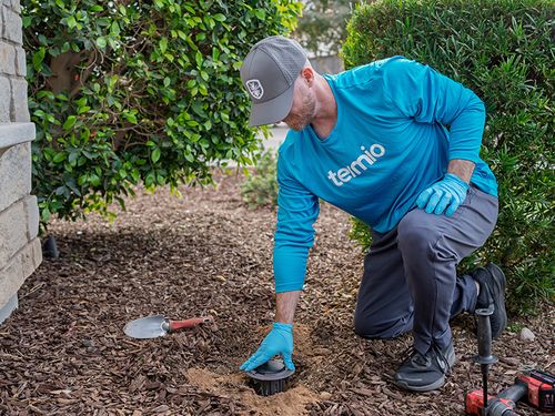 Preventative Termite Treatment in Phoenix: Protect Your Home Early