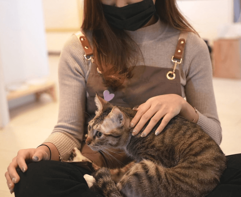 Fluvのアプリとペットシッターサービス