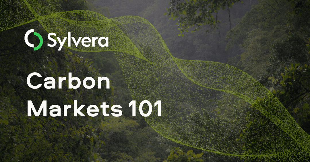 Carbon Markets 101: 5 Pointers to Secure Better Carbon Credits and ...