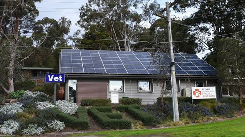 Eltham Veterinary Practice: Quality Pet Care & Advice - Open Mon - Sat