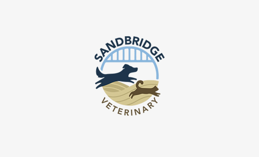 High-Quality Vet Hospital in St. Augustine, FL | Sandbridge Veterinary ...