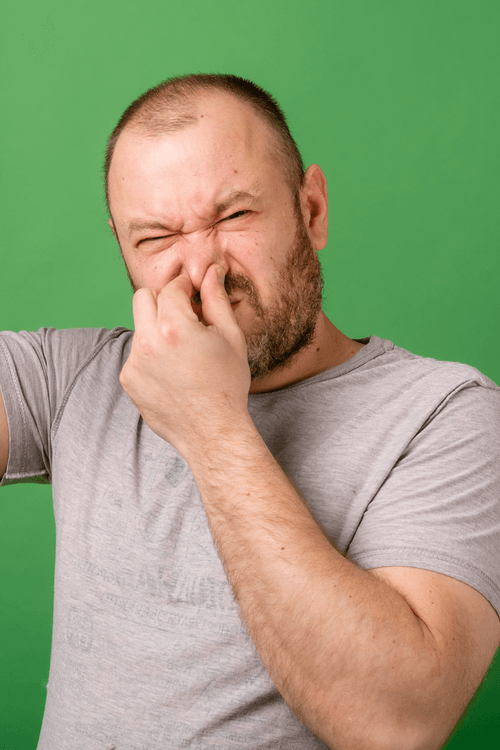 Binkil - UK's largest bin cleaning & pest control service.