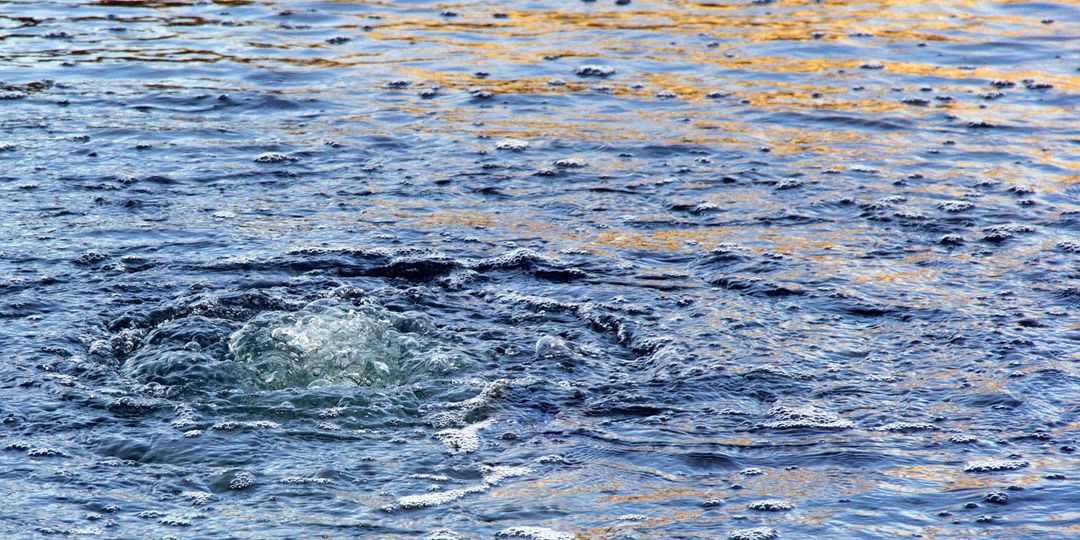 Optimizing Oxygen Transfer in Industrial Processes: A Deep Dive into ...