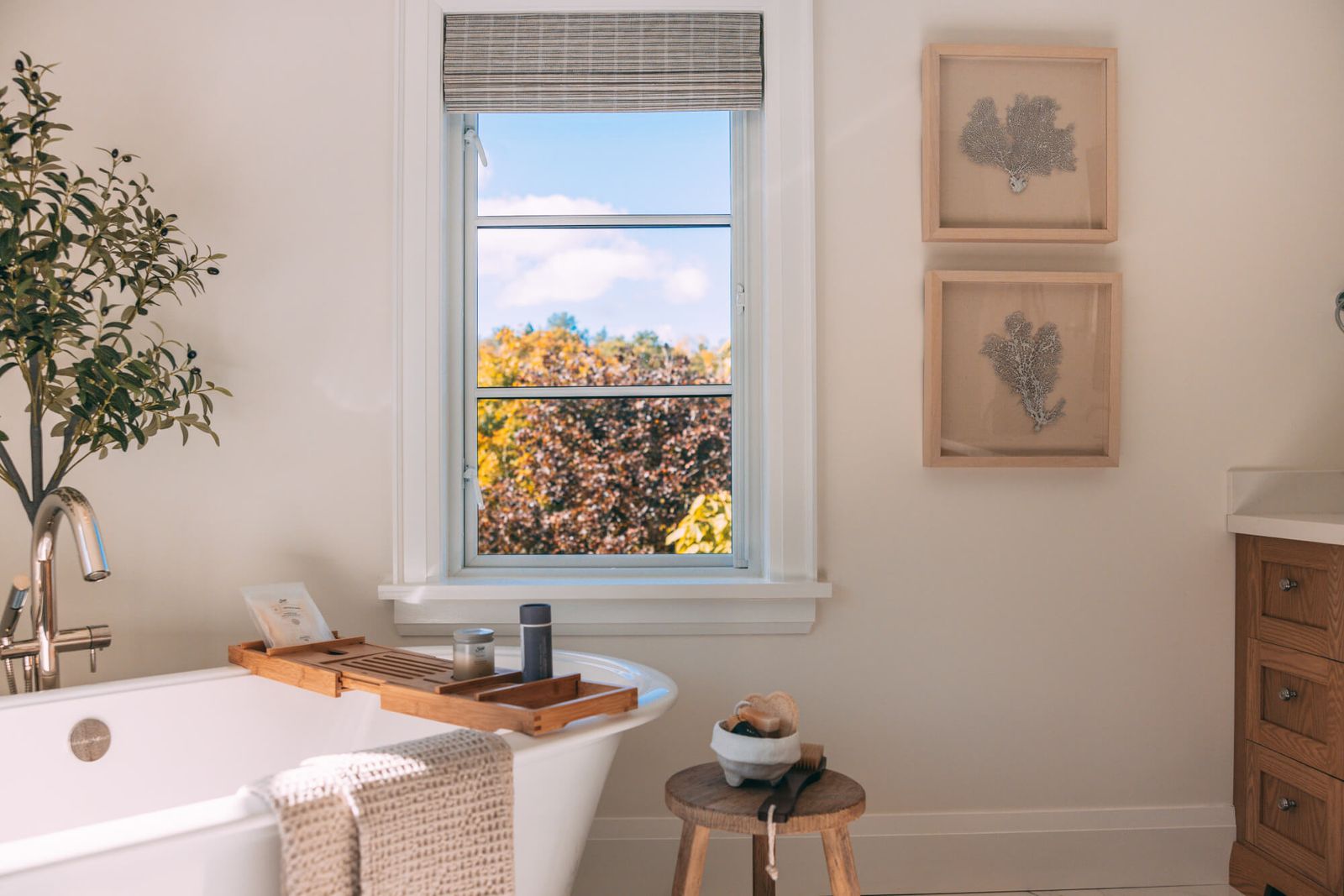 Magic™ – Ontario’s Most Innovative Windows