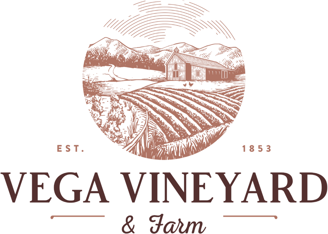 Home | Vega Vineyard and Farm
