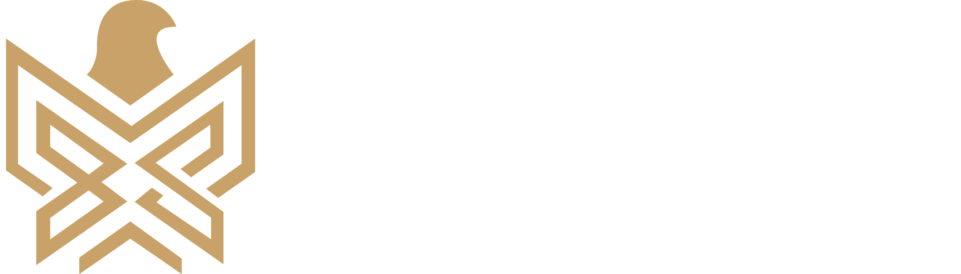 MBS Global Investments