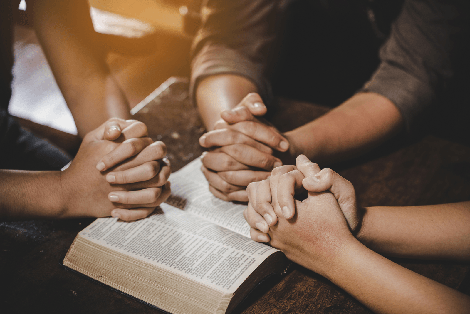 About Truthly - Empowering Catholic Faith Sharing