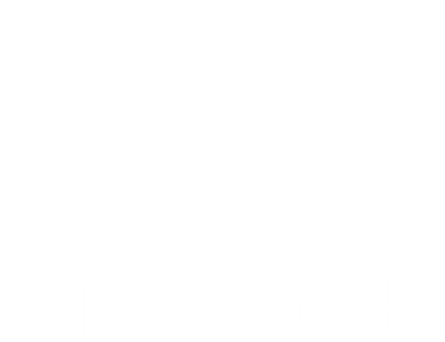 Turtle Tower | Authentic Vietnamese Restaurant in San Francisco