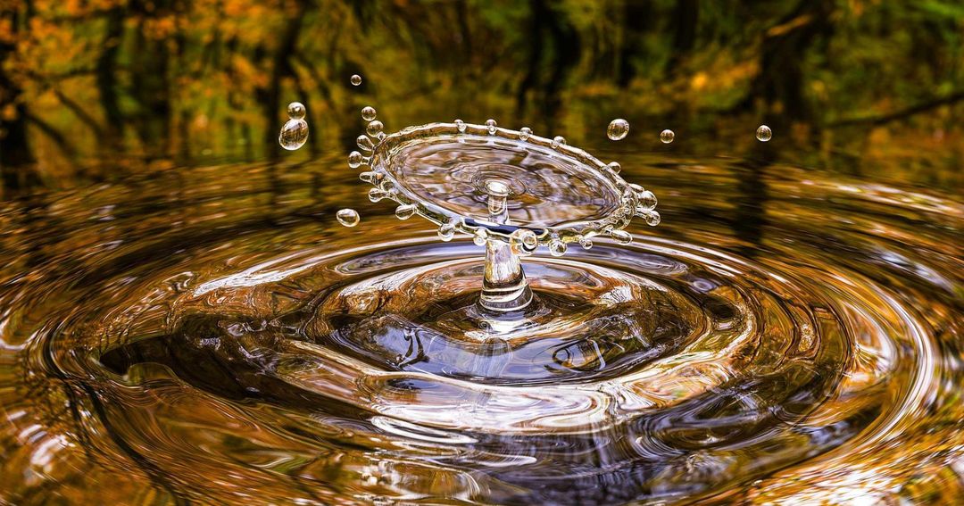 A Clear Win: Codified Transparency | Chesapeake Legal Alliance