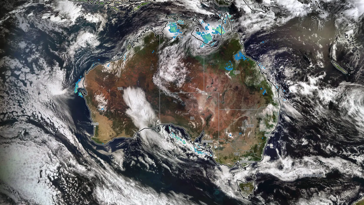 Jane's Weekly Update: 30th January 2026