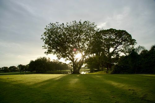 Host An Event | Palm Beach National Golf Course