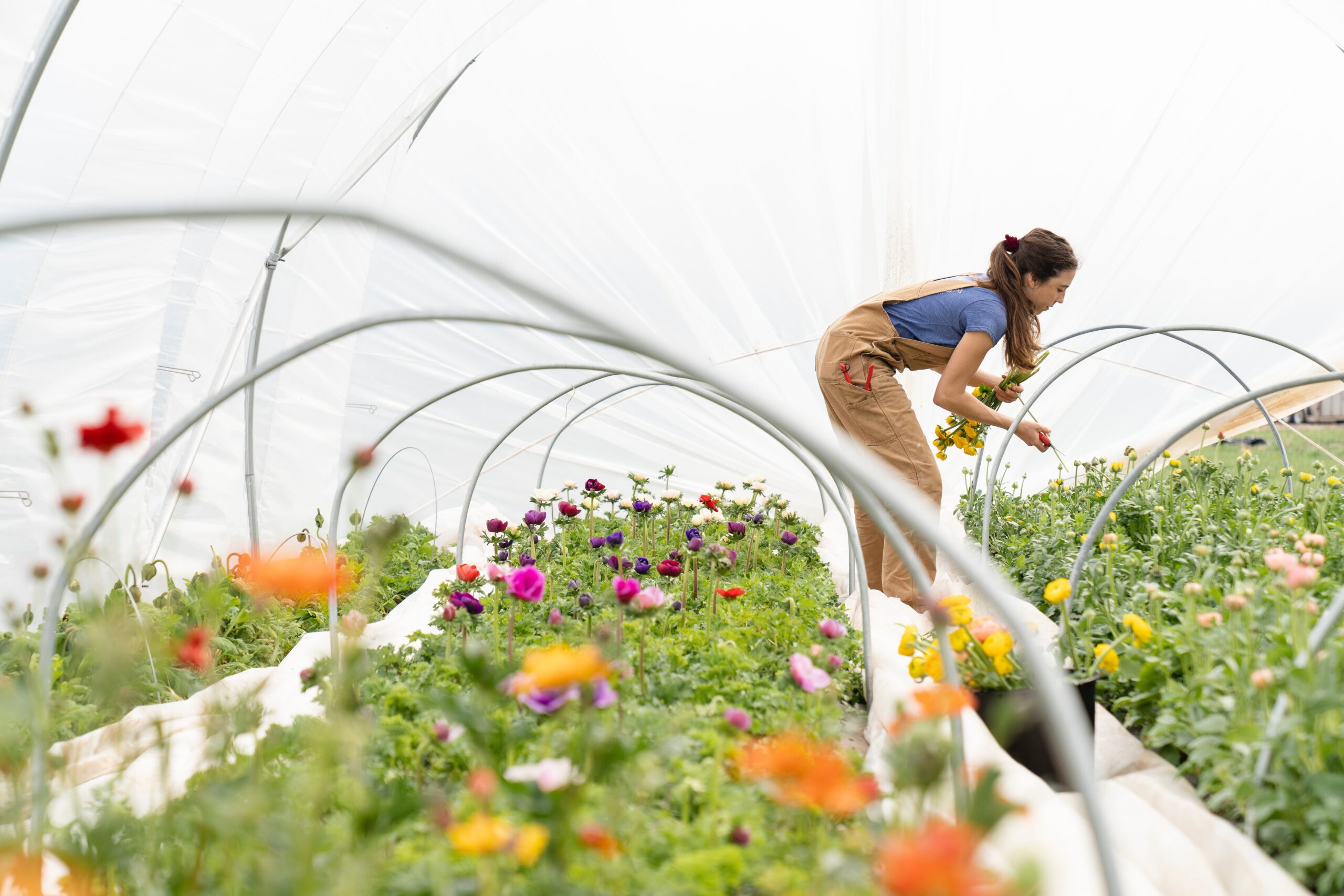 Growing Organic Protects Your Health | Indigo Health