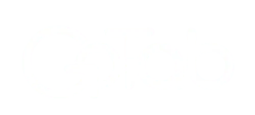 GoTab Store