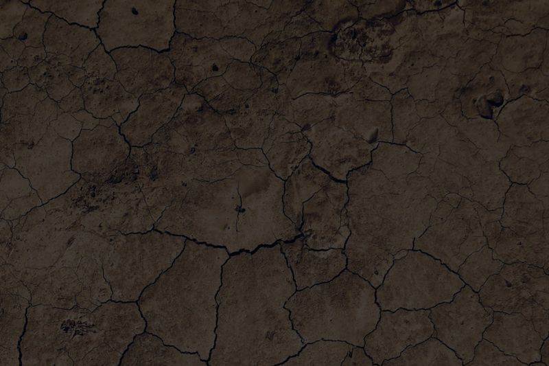 Alpine Creations - Purpose & Impact