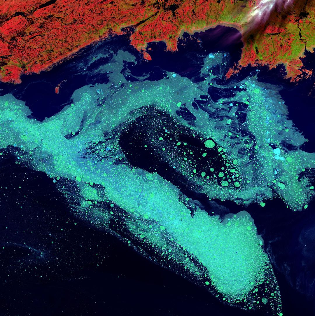 Alpine Creations - About Us